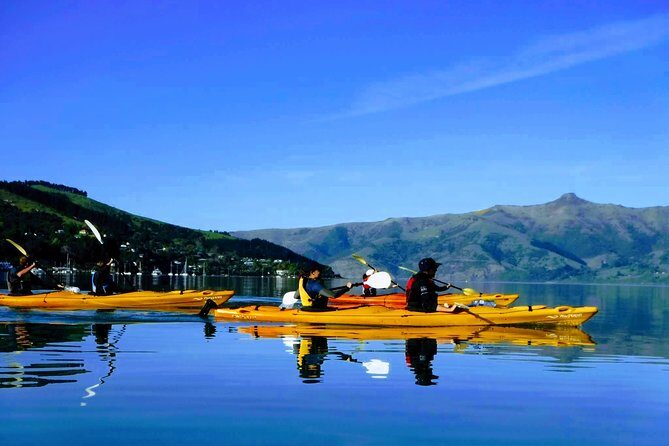 Solar Explorer in Akaroa - Sun-Viewing Tour with Telescopes - The Reviews: Authentic Feedback