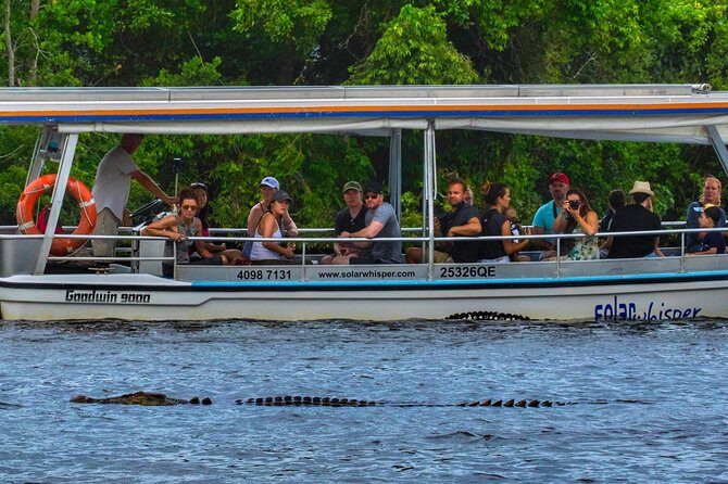 Solar Whisper Daintree River Crocodile and Wildlife Cruise - Key Points