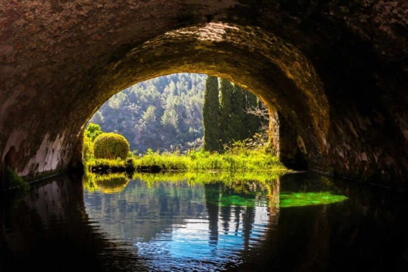 Sóller: Jardines de Alfabia Entrance Ticket - Who Will Enjoy This Tour?