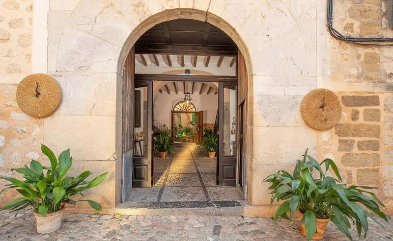 Sóller: Olive Oil Guided Tour and Tasting at Can Det Estate - An In-Depth Look at the Tour Experience