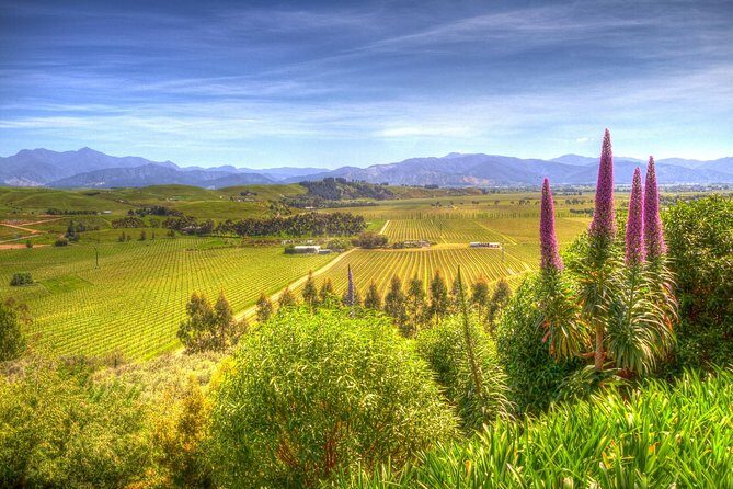 Solo Traveller Full Day Wine Gourmet and Scenic Delights Tour from Blenheim - Who Will Love This Tour?