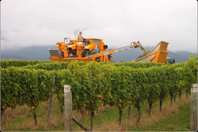 Solo Traveller Full Day Wine Gourmet and Scenic Delights Tour from Blenheim - Practical Details and Considerations