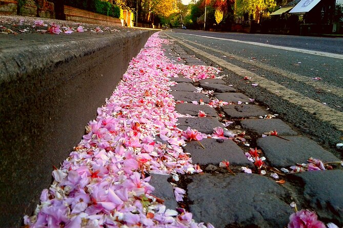 Solo Travellers- university or Harry Potter private group tour - The Sum Up