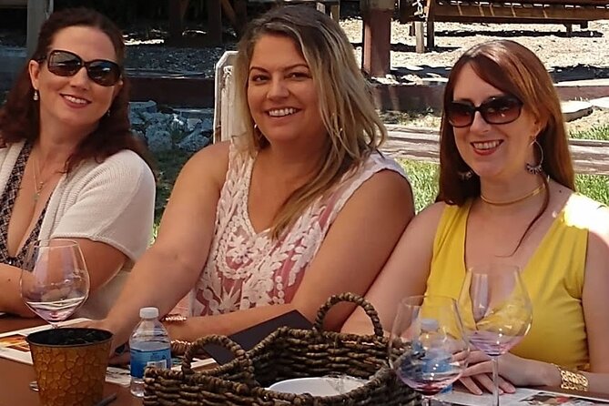 Solvang Santa Ynez Valley Small Group All-Inclusive Wine Tour - Addressing Concerns and Critiques