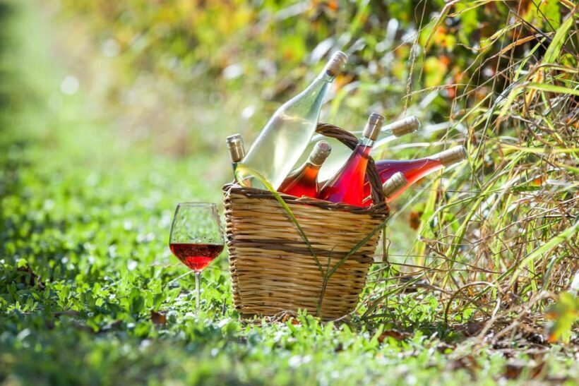 Solvang: Santa Ynez Valley Wine Tours w/ Lunch & Tastings - Who’s It Best For?