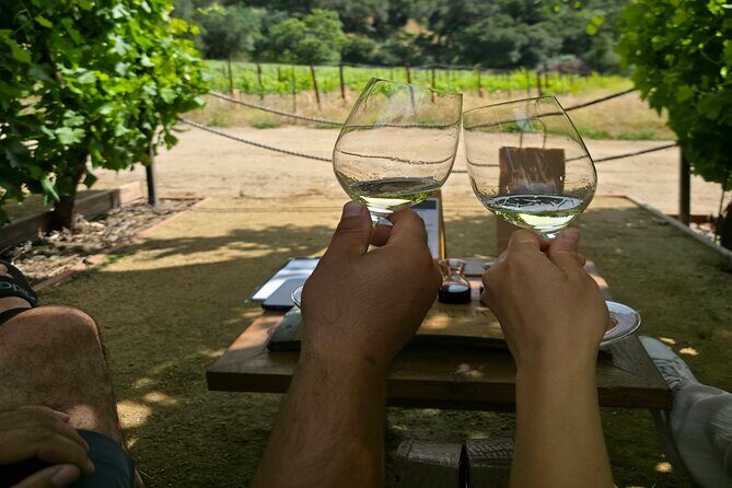 Solvang Ventura Wine Tour by Car - FAQ: Practical Questions Answered