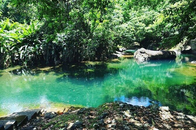 Soma Garden All Inclusive Tropical Fruit Farm Tour - Key Points