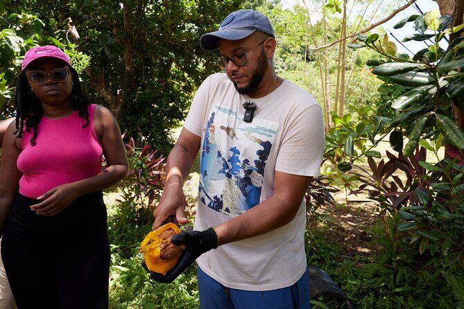 Soma Garden All Inclusive Tropical Fruit Farm Tour - Authentic Feedback and Highlights from Past Travelers