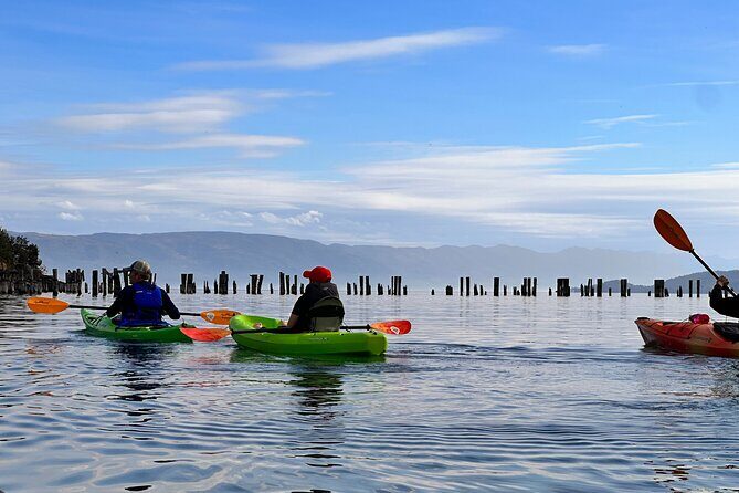 Somers Bay Flathead Lake Sunset Tour - Who Will Love This Tour?