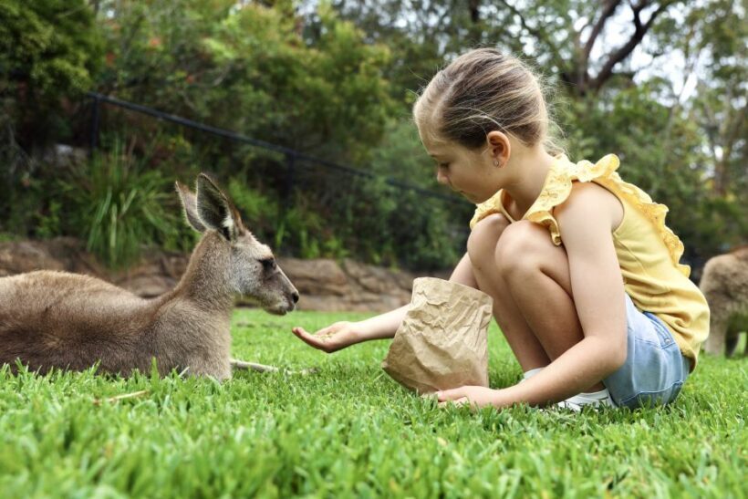Somersby: Australian Reptile Park Day Pass - 9am to 5pm - Key Points
