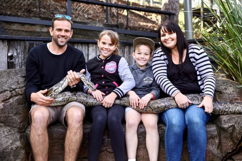 Somersby: Australian Reptile Park Day Pass - 9am to 5pm - An In-Depth Look at the Australian Reptile Park