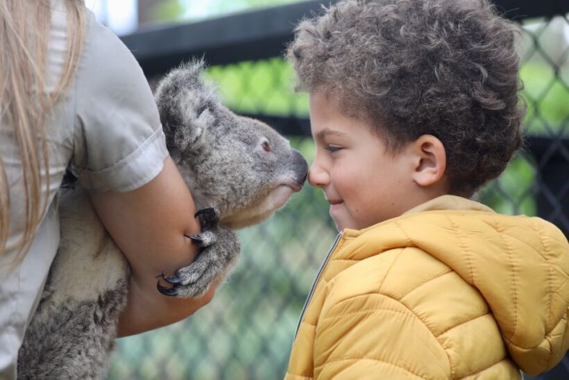 Somersby: Australian Reptile Park Day Pass - 9am to 5pm - FAQ
