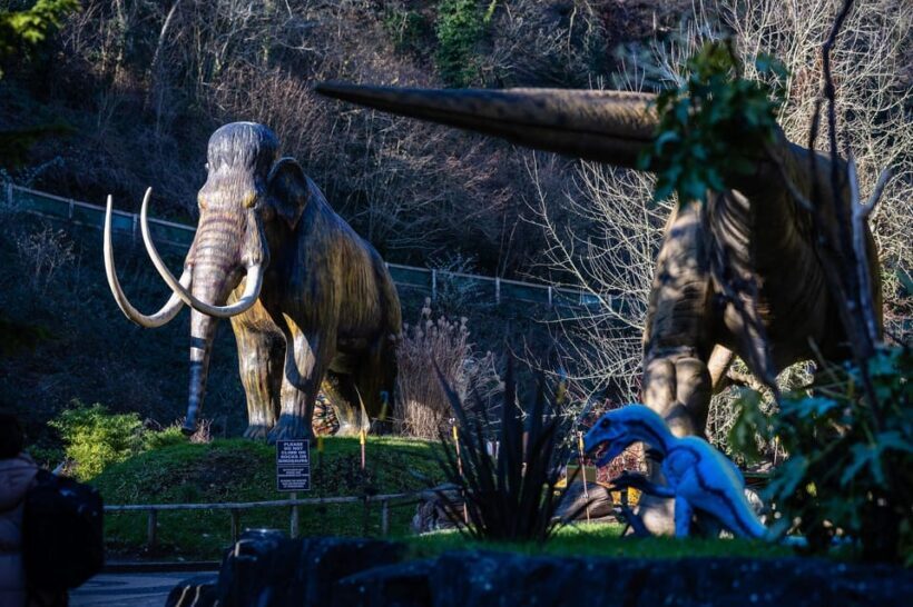 Somerset: Wookey Hole Caves Day Admission Ticket - FAQ