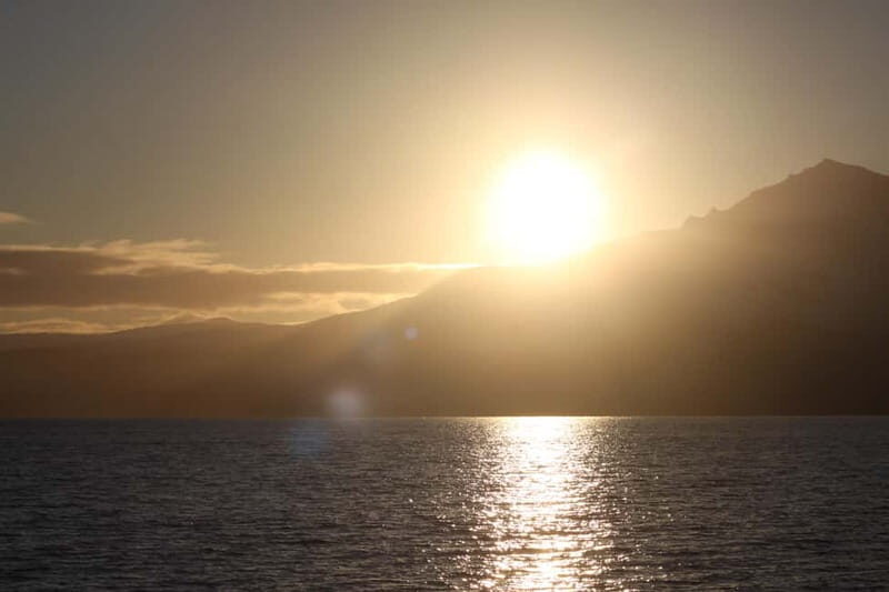 Sommarøy: Midnight Tour by minibus - What’s Included and What to Expect