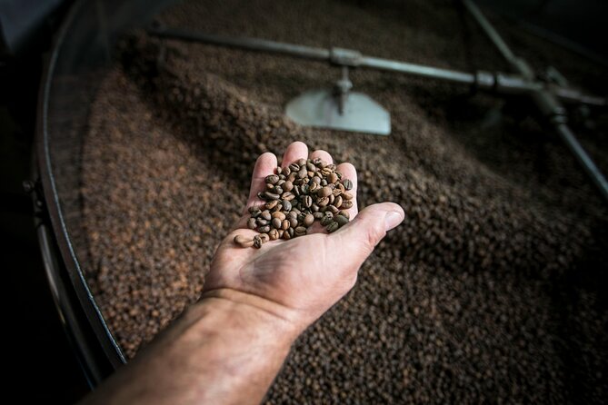 Song of the Sea: Fish, Seafood and Tradition in Lisbon's Port Zone - Tour Overview