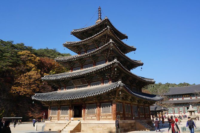 Songnisan National Park & Beopjusa Temple UNESCO site Private Tour - Why This Tour Offers Great Value