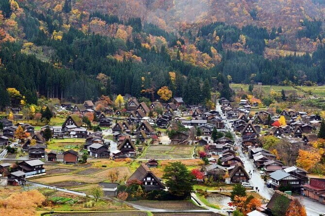 Soni Highlands Eco Adventure and Giant Salamanders From Nagoya - Practical Tips for Travelers