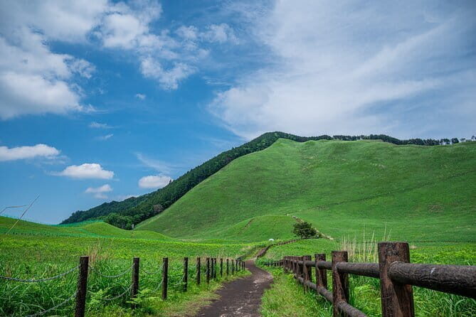 Soni Highlands Eco Adventure and Giant Salamanders From Nagoya - The Sum Up