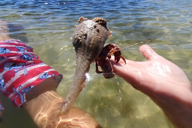 Sonnys Boat Tours Full Day Sand Bar Adventure Englewood, Florida - Who Should Consider This Tour?