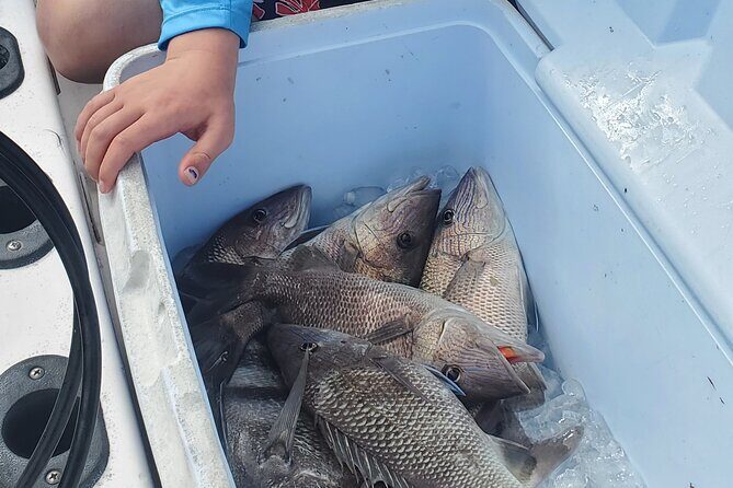 Sonnys Boat Tours Half Day Off Shore Fishing Charter Englewood Fl - Starting Point and Accessibility