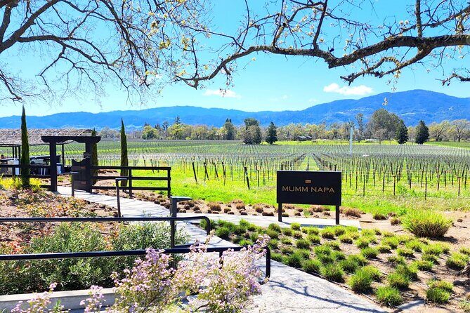 Sonoma and Napa Champagne Wine Private Tour Half Day - Navigating the Experience