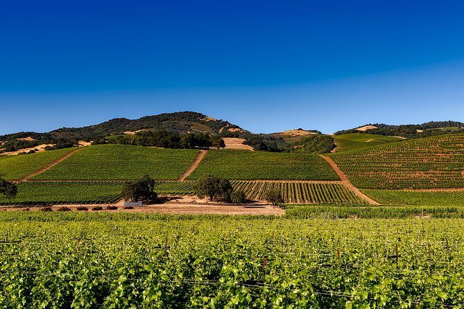 Sonoma And Napa Wine Tour Private Tours 8 to 10 Hours max 14 pax - The Itinerary: Flexibility and Focus on Your Preferences