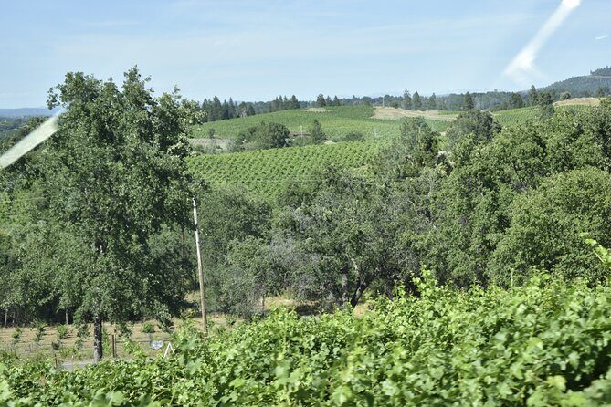 Sonoma And Napa Wine Tour Private Tours 8 to 10 Hours max 14 pax - The Value: Balancing Cost and Experience