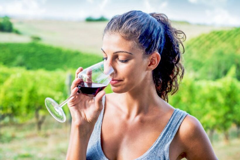 Sonoma County: Tasting Pass (Choose 1, 2, or 90 Days) - In-Depth Review of the Sonoma County Tasting Pass