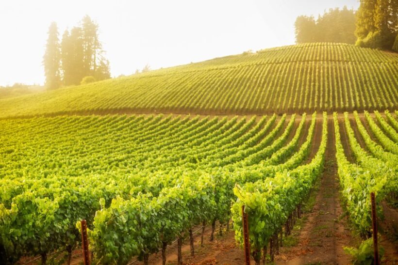 Sonoma County: Tasting Pass (Choose 1, 2, or 90 Days) - FAQs