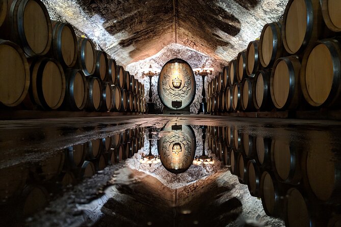 Sonoma County Wine Segway Tour - Enjoying the Picnic Lunch