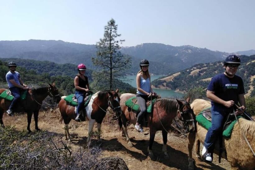 Sonoma: Horseback Riding Tour to Skaggs Vista Mountain - What to Expect on This Sonoma Horseback Riding Tour