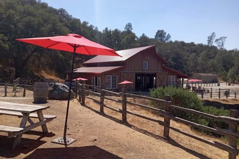 Sonoma: Horseback Riding Tour to Skaggs Vista Mountain - FAQ