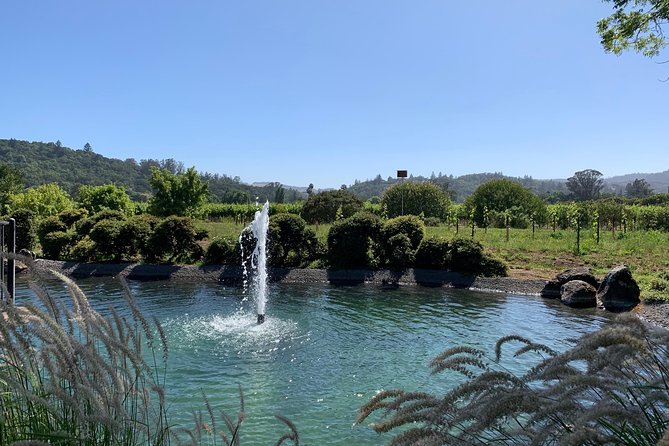 Sonoma or Napa -8hr- Private Wine Tour With Concierge Service - Included Amenities and Experiences