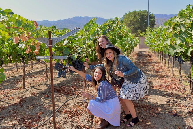 Sonoma Private 6-Hour Wine Adventure - Key Points