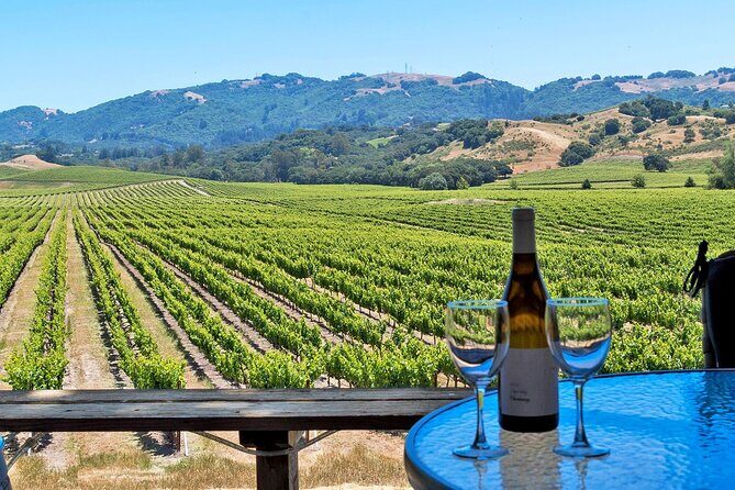 Sonoma Valley All-Inclusive Wine Tour - Analyzing the Value