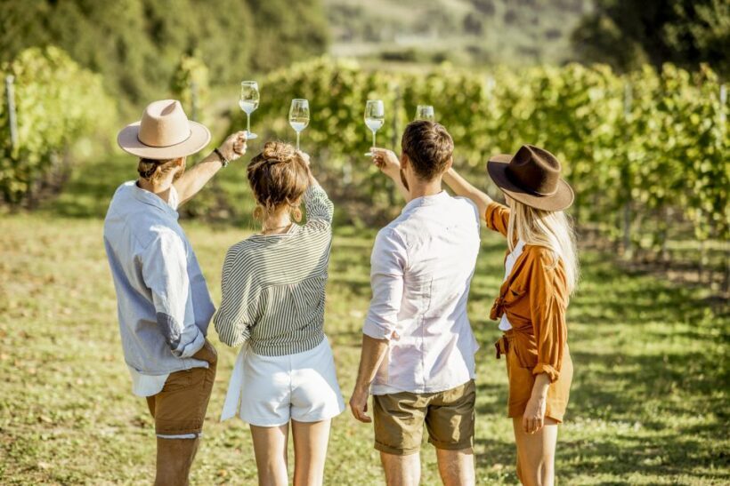 Sonoma Valley: Guided Winery Tour with Picnic Lunch - Discovering the Charm of Sonoma Valley