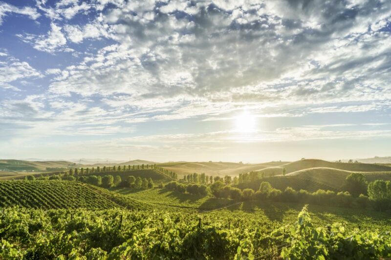 Sonoma Valley: Guided Winery Tour with Picnic Lunch - Exploring the Itinerary