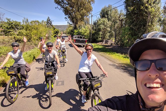 Sonoma Valley Pedal Assist Bike Tour - The Sum Up