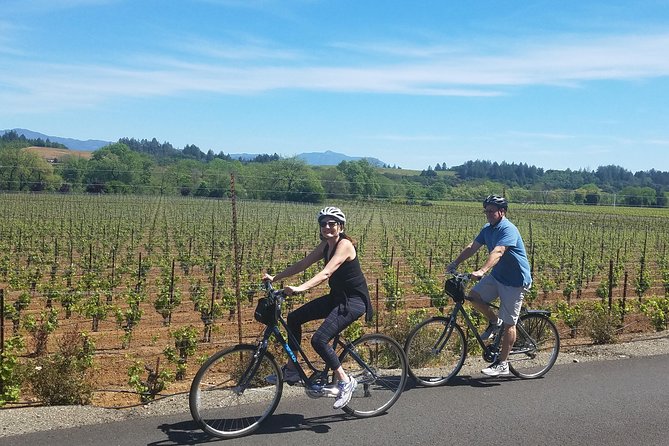 Sonoma Valley Pedal Assist Bike Tour With Lunch - Wineries and Attractions