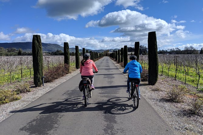 Sonoma Valley Pedal Assist Bike Tour With Lunch - Traveler Feedback