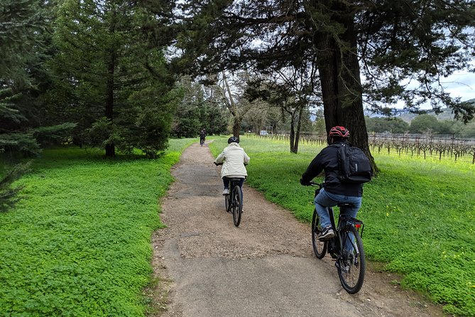 Sonoma Valley Pedal Assist Bike Tour With Lunch - Included and Not Included