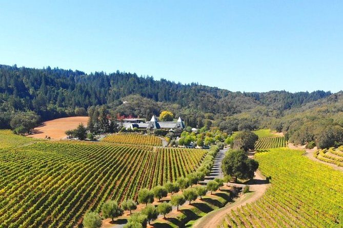 Sonoma Valley Wine Country Custom Tour - Pricing and Value