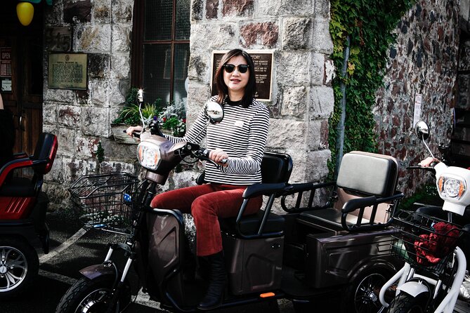 Sonoma Wine Country Electric Trike Tour - 3 hours - Who Will Love This Tour?