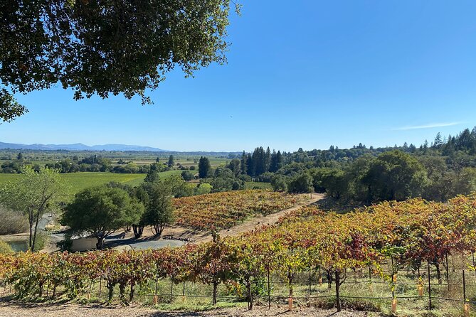 Sonoma Wine Rides: Sonoma County Join-In Group Wine Tasting Tours - Convenient Transportation and Pickup Options