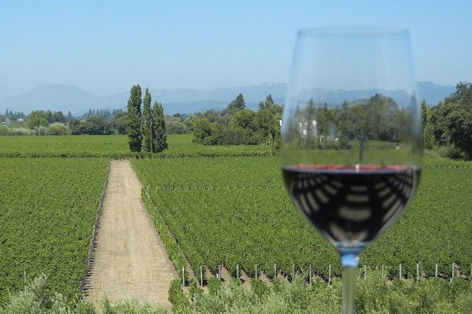 Sonoma Wine Tour With 2 Tastings Included Small-Group Half Day - The Wineries Youll Visit