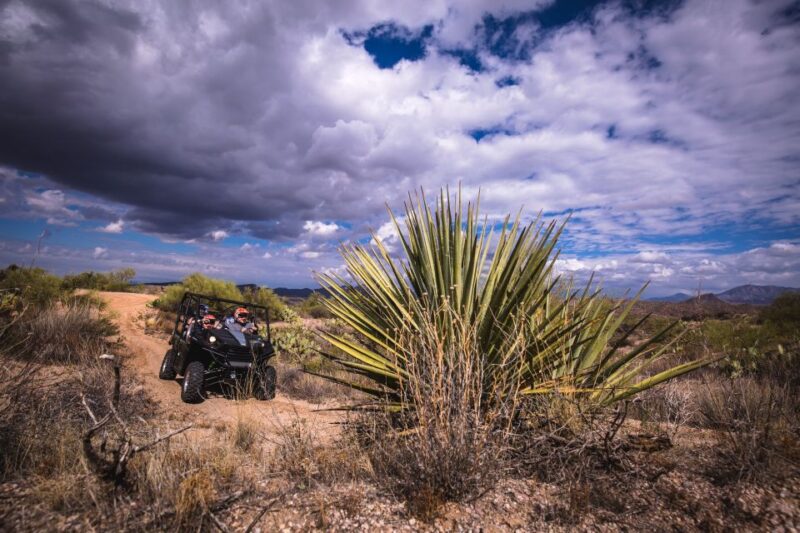 Sonoran Desert: Guided 2-Hour UTV Adventure - Who Will Love This Tour?