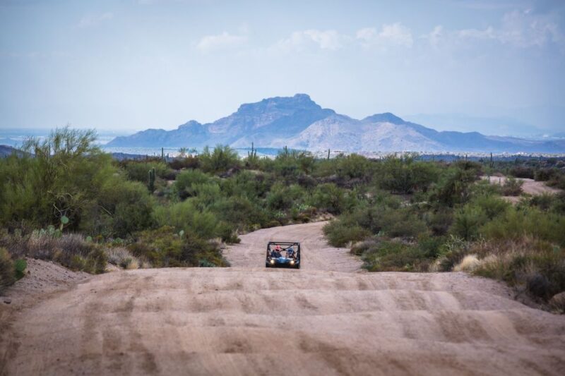 Sonoran Desert: Guided 2-Hour UTV Adventure - The Sum Up: Why It’s Worth Considering