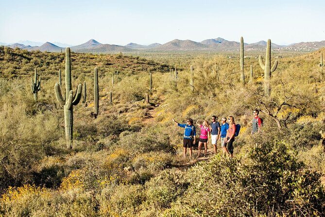 Sonoran Desert Guided Hike - An In-Depth Look at the Sonoran Desert Guided Hike