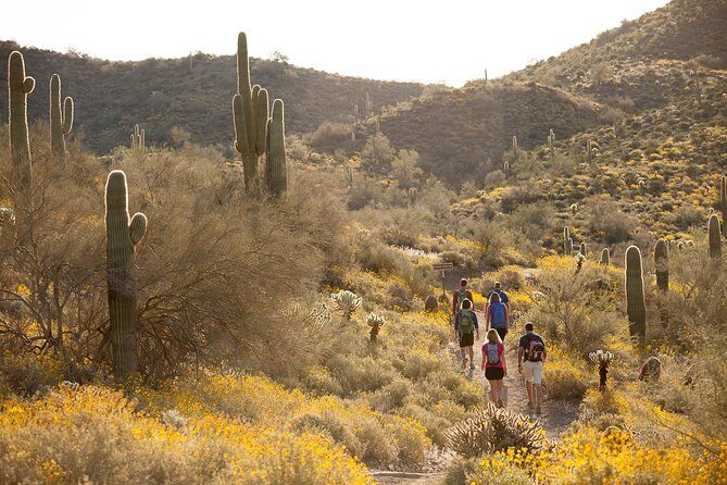 Sonoran Desert Guided Hike - Who Should Book This Tour?