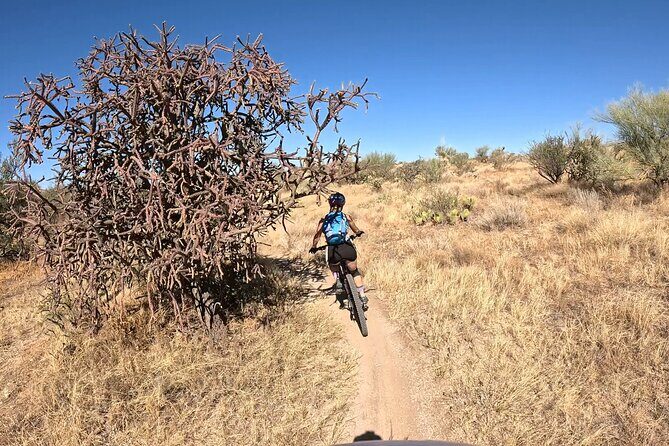Sonoran Desert Guided Mountain Bike Adventure - An In-Depth Look at the Sonoran Desert Bike Tour